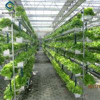 China Sainpoly Commercial Hydroponic Greenhouse For Plant Growing Lettuce for sale