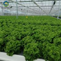 China Sainpoly Commercial Hydroponic Greenhouse For Plant Growing Lettuce for sale
