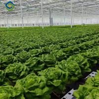 China Easy Growing Hydroponics Greenhouse Lettuce Vegetable Greenhouse for sale