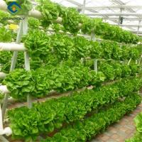 China Easy Installation Customized Agricultural Greenhouses With LED Lighting for sale