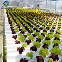 China Large Size Vertical Hydroponic Greenhouse Stable Structure Easily Assembled for sale