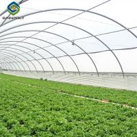 China Large Size Vertical Hydroponic Greenhouse Stable Structure Easily Assembled for sale