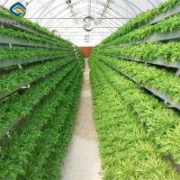 China Customized Size Lettuce Green House Easy Installation With Sliding / Swing Door for sale