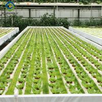 China PVC Gutter Soilless Culture Hydroponic Lettuce Greenhouse Anti Corrosion for sale