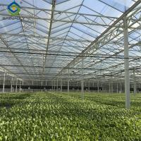 China Sainpoly Hydroponic Lettuce Greenhouse Tunnel Green House Customized for sale