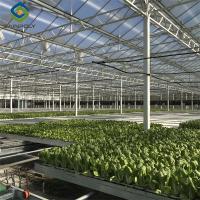China Sainpoly Hydroponic Lettuce Greenhouse Tunnel Green House Customized for sale