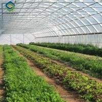 China Sainpoly Hydroponic Lettuce Greenhouse Tunnel Green House Customized for sale