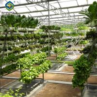 China Commercial Lettuce Farm NFT Greenhouse With Galvanized Frame 1.6-1.8m Height for sale