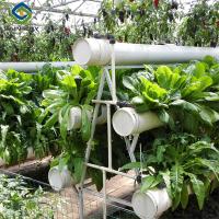 China Commercial Lettuce Farm NFT Greenhouse With Galvanized Frame 1.6-1.8m Height for sale