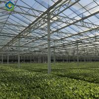 China Commercial Lettuce Farm NFT Greenhouse With Galvanized Frame 1.6-1.8m Height for sale