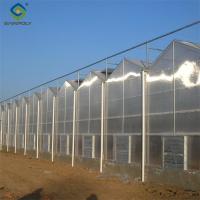 China Multi Span Agricultural Polycarbonate Green House Venlo Style Greenhouse for sale