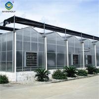 China Customized Size Intelligent Greenhouse Vegetable Growing Greenhouse for sale