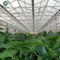 China Automated Ventilation Venlo Type Greenhouse Polycarbonate Green House Energy Efficient for sale