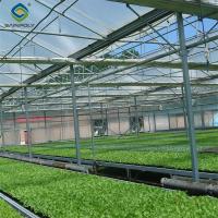 China Venlo Style Polycarbonate Farming Green House Customizable Size for sale