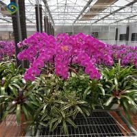 China Multi Span Arch Roof Polycarbonate Greenhouse With Intelligent Systems for sale