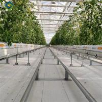 China Venlo Style Polycarbonate Farming Green House Customizable Size for sale