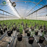 China Multi Span Arch Roof Polycarbonate Greenhouse With Intelligent Systems for sale