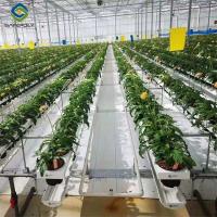 China Strong Structure Galvanized Venlo Type Greenhouse Commerical Green House for sale