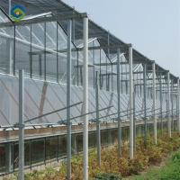 China High Strength Agricultural Glass Greenhouse Venlo Type Easy Installation for sale