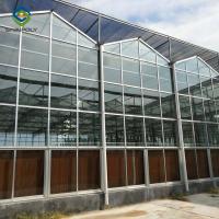 China Multispan Agricultural Venlo Glass Greenhouse Good Insulation In Winter for sale