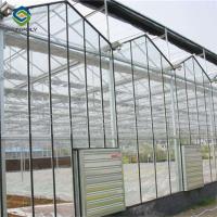 China Steel Frame Dutch Venlo Greenhouse Tempered Glass Greenhouse  For Planting Tomatoes for sale