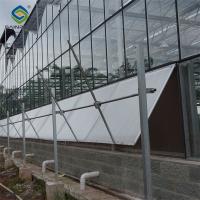 China Steel Frame Dutch Venlo Greenhouse Tempered Glass Greenhouse  For Planting Tomatoes for sale