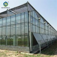 China Agriculture Polycarbonate Venlo Type Greenhouse For Planting Tomatoes for sale