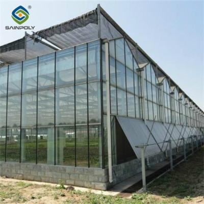 China Custom Dutch Venlo Greenhouse Modern Farms Greenhouse With Intelligent Control System for sale