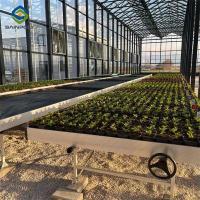 China Weather Resistance Venlo Type Greenhouse With Hot Galvanized Steel Structure for sale