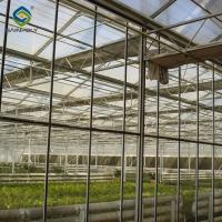 China Agricultural Glass Venlo Type Greenhouse Wind Resistance Professional Installation for sale