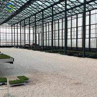 China Venlo Multi Span Custom Glass Greenhouse For Vegetables Farming Growing for sale