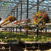China Venlo Multi Span Custom Glass Greenhouse For Vegetables Farming Growing for sale