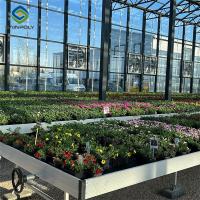 China Agriculture Polycarbonate Venlo Type Greenhouse For Planting Tomatoes for sale
