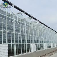 China Agricultural Glass Venlo Type Greenhouse Wind Resistance Professional Installation for sale