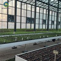 China Agricultural Glass Greenhouse Continuous Skeleton PC Board Greenhouse For Vegetables for sale