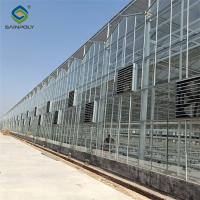 China Steel Frame Dutch Venlo Greenhouse Tempered Glass Greenhouse  For Planting Tomatoes for sale