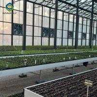 China Smart Multi Span Venlo Glass Greenhouse Solar Photovoltaic Greenhouses Fruit Planting for sale