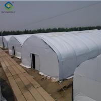 China Polycarbonate Mushroom Growing Greenhouse Multispan Farming Green House Cultivation for sale