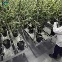 China Popular Modern Blackout System Greenhouse Full Dark With Systems for sale