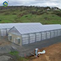 China Commercial Film Curtain Fabric Blackout Greenhouse For Sensitive Plants for sale