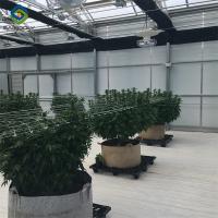China OME Multi Span Single Span Light Deprivation Greenhouse Easy To Install for sale