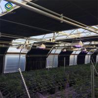 China Morden Automated Light Dep Greenhouse For Special Commercial Agriculture for sale