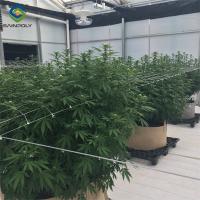 China Popular Modern Blackout System Greenhouse Full Dark With Systems for sale