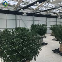 China Morden Automated Light Dep Greenhouse For Special Commercial Agriculture for sale