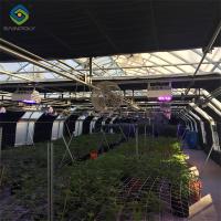 China Customized Standard Blackout System Greenhouses 4.5-7.5m Height for sale