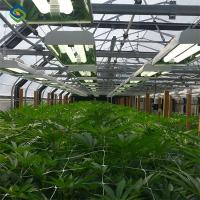 China Customization Automated Light Dep Greenhouse Large Size 3 Layers for sale