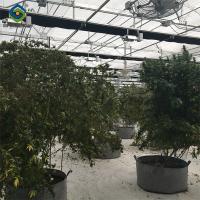 China Modern Galvanized Structure Blackout Greenhouse Wind Resistance for sale