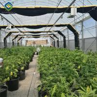 China Electric Type Full Dark Blackout Greenhouse For Agricultural Commercial for sale