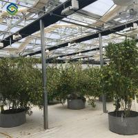 China Electric Type Full Dark Blackout Greenhouse For Agricultural Commercial for sale