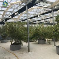 China Commercial Film Curtain Fabric Blackout Greenhouse For Sensitive Plants for sale